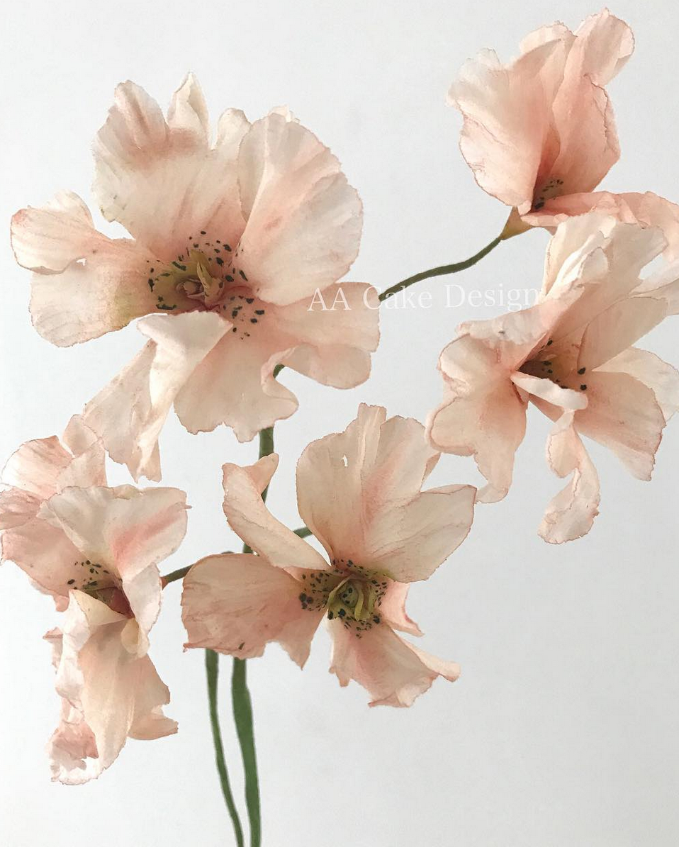 Home - AA Cake Design